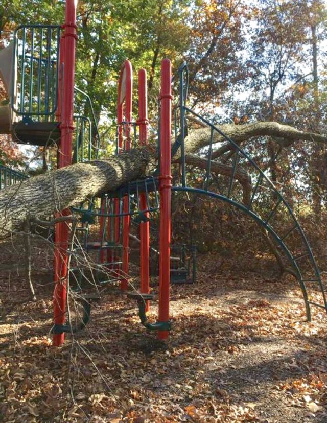 FALLING TREE DAMAGES PLAYGROUND AT ASHBURN PARK