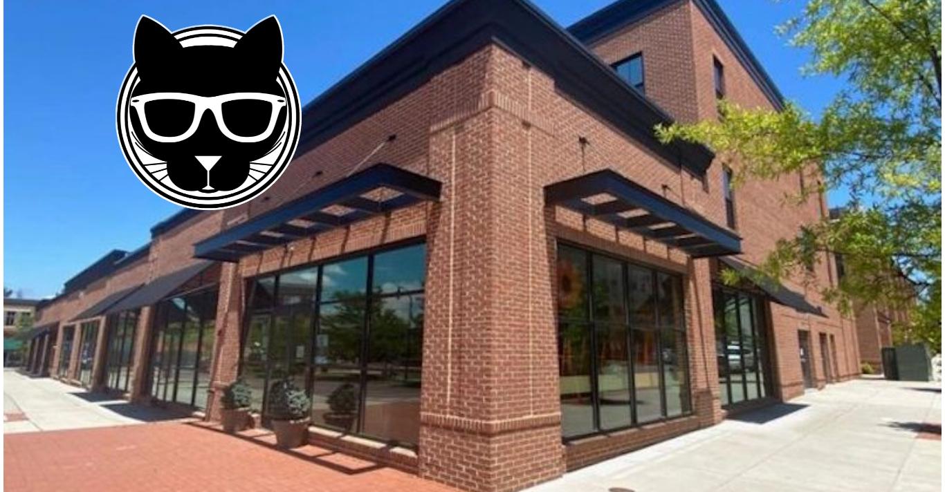 Twisted Cat Tavern coming to Lansdowne - The Burn