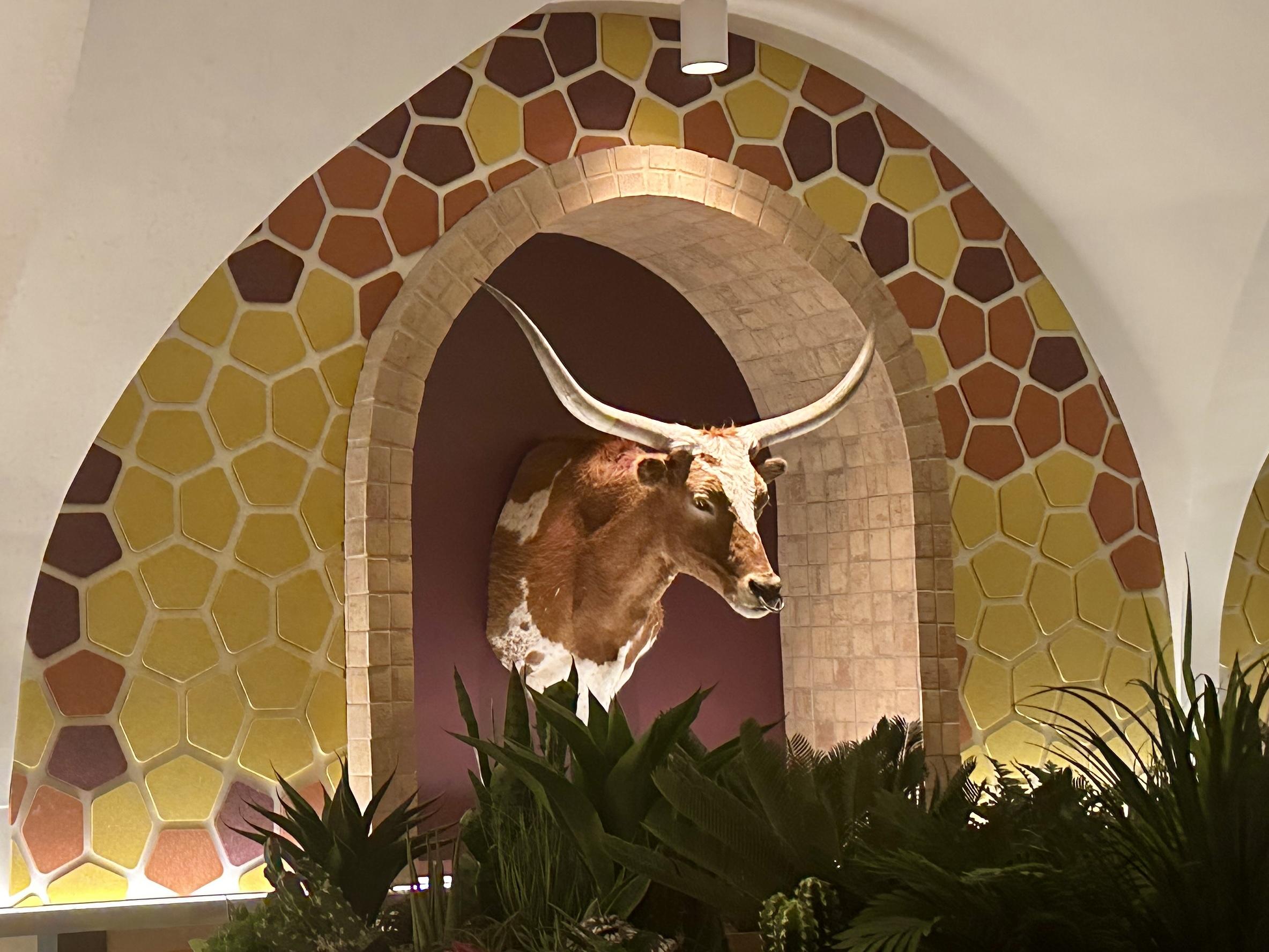 Sneak peek inside Ometeo Tex Mex restaurant in Tysons
